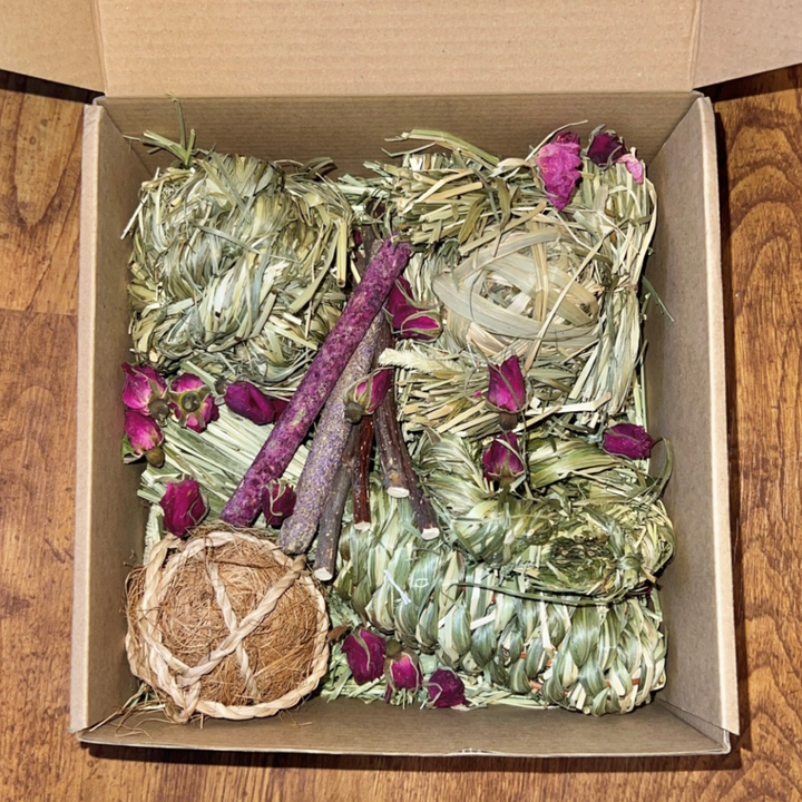 Rabbit supplies and bunny apparel. – Bunns & Stuff