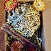 Rabbit supplies and bunny apparel. – Bunns & Stuff